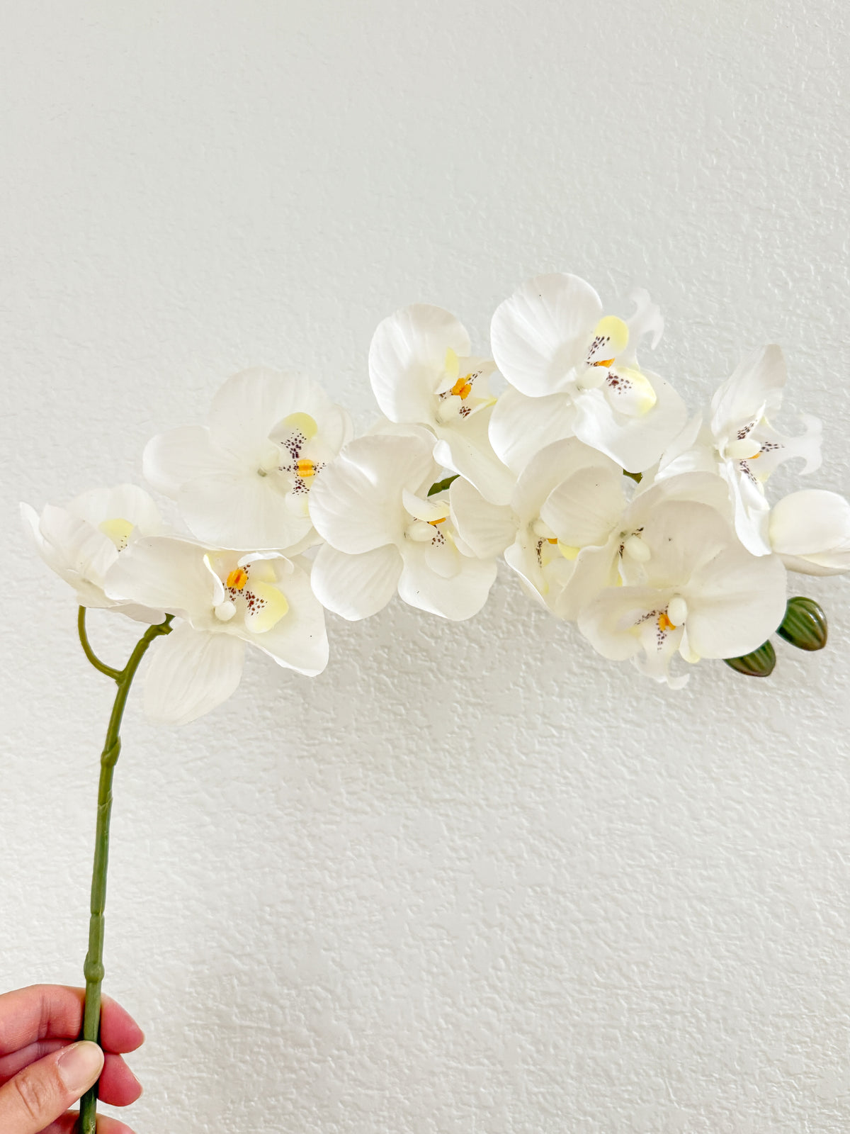 White Real Touch Orchid Stem (Pack of 3 Stems) | HTS DECOR